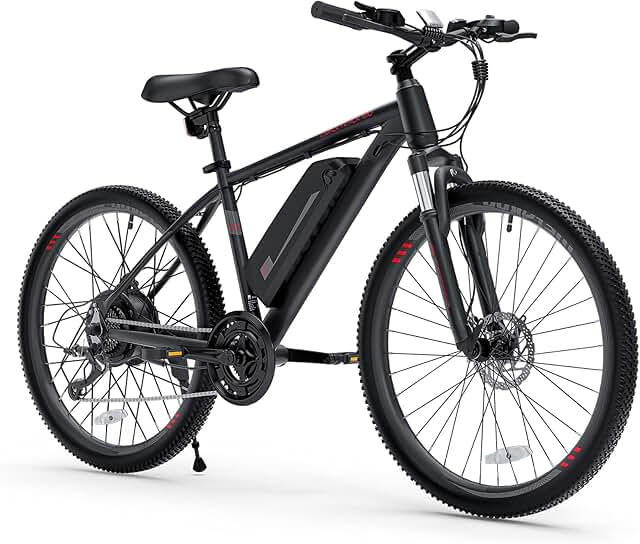 Amazon.ca: electric bike