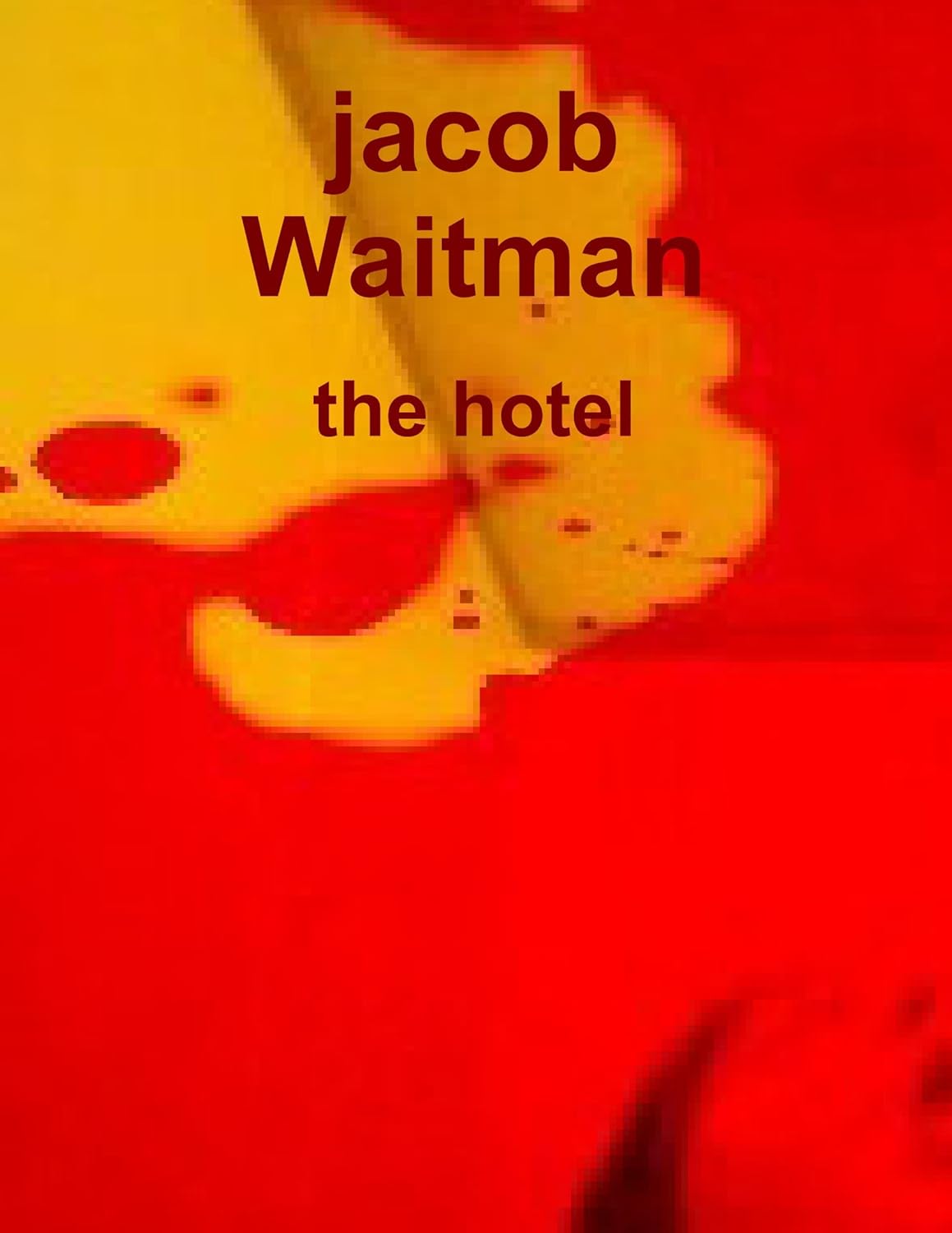 The Hotel: Amazon.co.uk: Waitman, Jacob: 9780557928378: Books