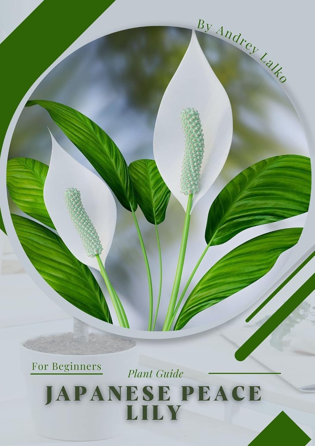 Japanese Peace Lily: Plant Guide eBook : Lalko, Andrey: Amazon.ca ...