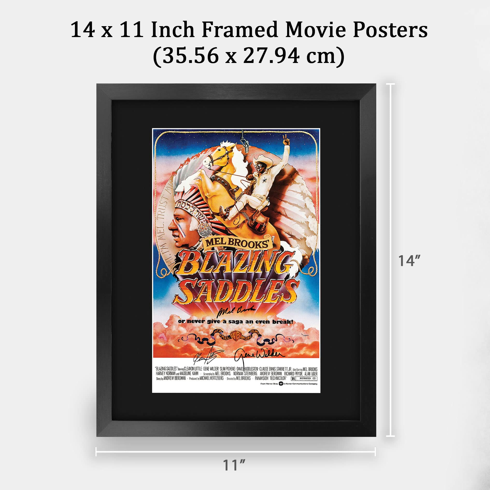 Framed Film Posters