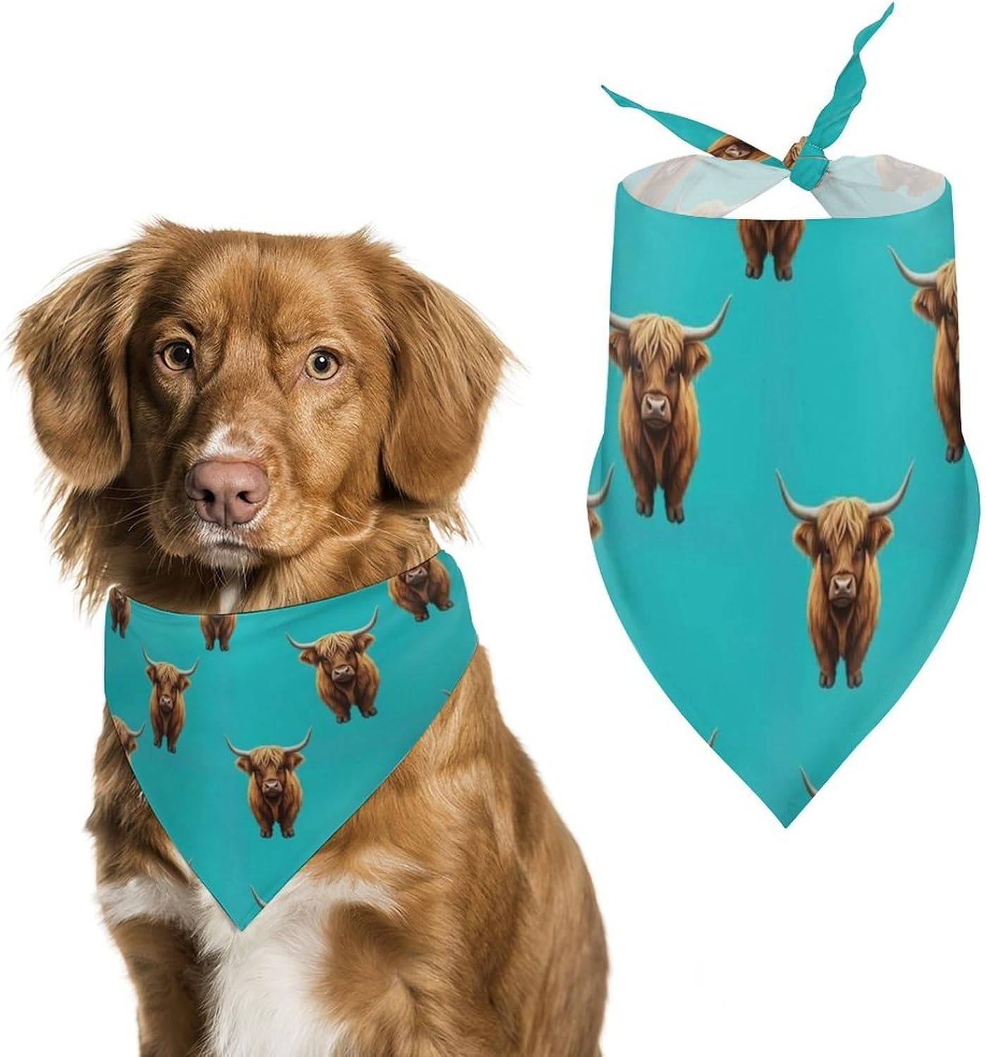 Amazon.com : Dog Birthday Party Supplies Dog Bandana Pet Triangle Bib ...