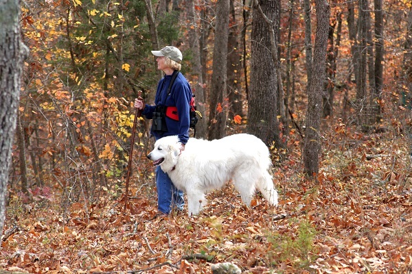 Amazon.com: Holly Atkinson: books, biography, latest update