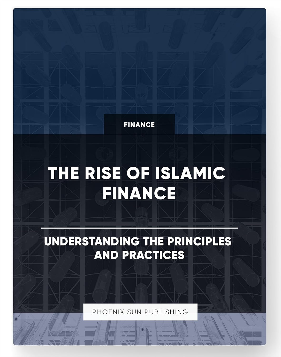Amazon.com: The Rise of Islamic Finance - Understanding the Principles ...