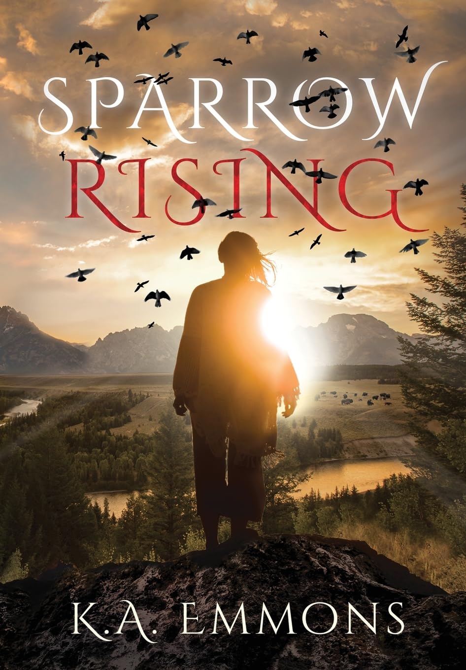 Amazon.com: Sparrow Rising: 9781734014679: Emmons, K a: Books
