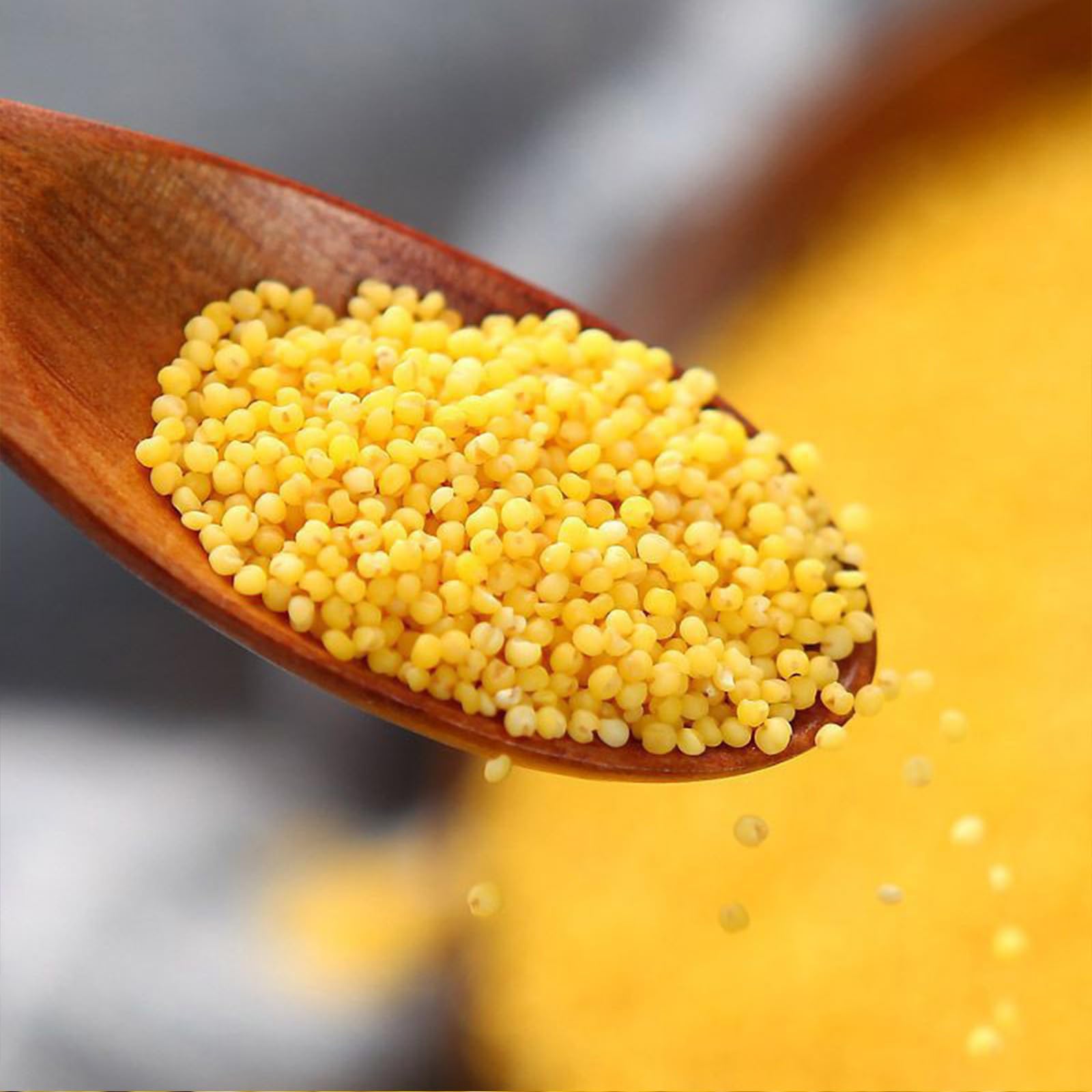 Snapklik.com : millet,Yellow millet176ozHulled Gluten Free Raw Sun ...