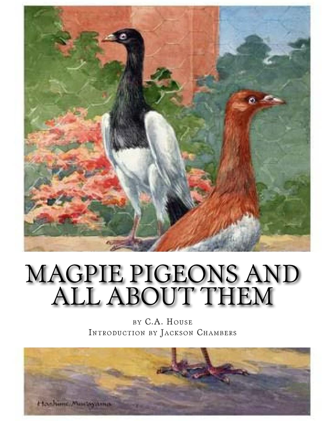 Magpie Pigeons and All About Them: A Guide To The Breeding and ...