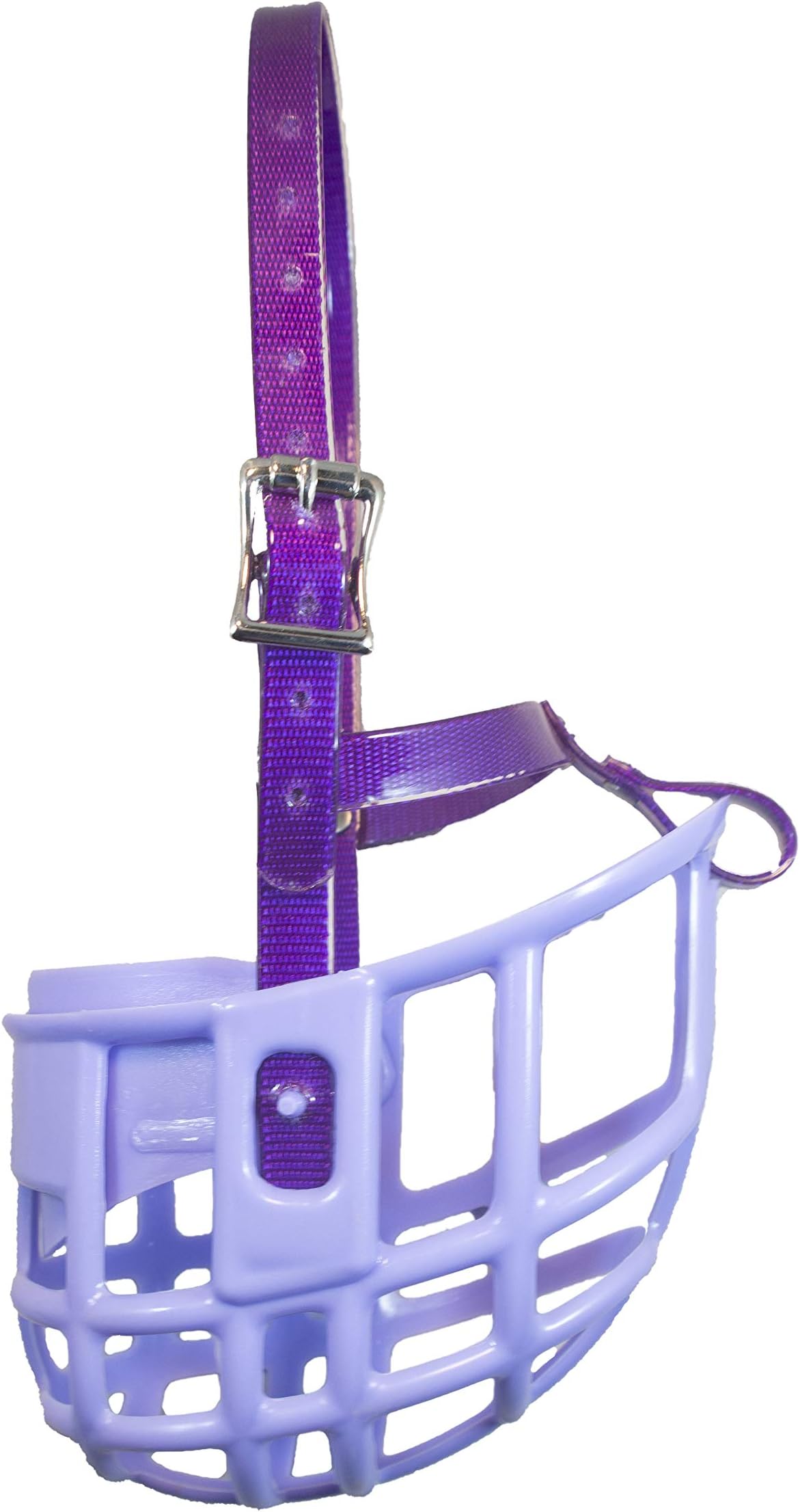 Amazon.com : Birdwell Enterprises - Muzzle Guard Dog Cone and Recovery ...