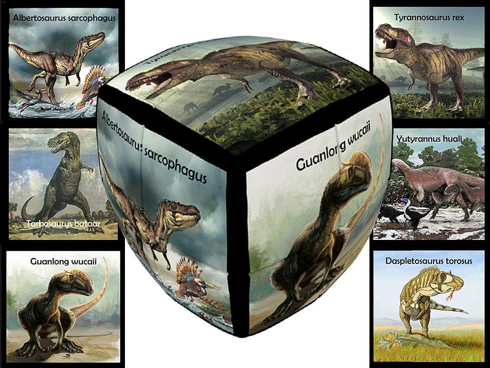 Amazon.com: V-CUBE Dinosaurs 2b Cube : Toys & Games