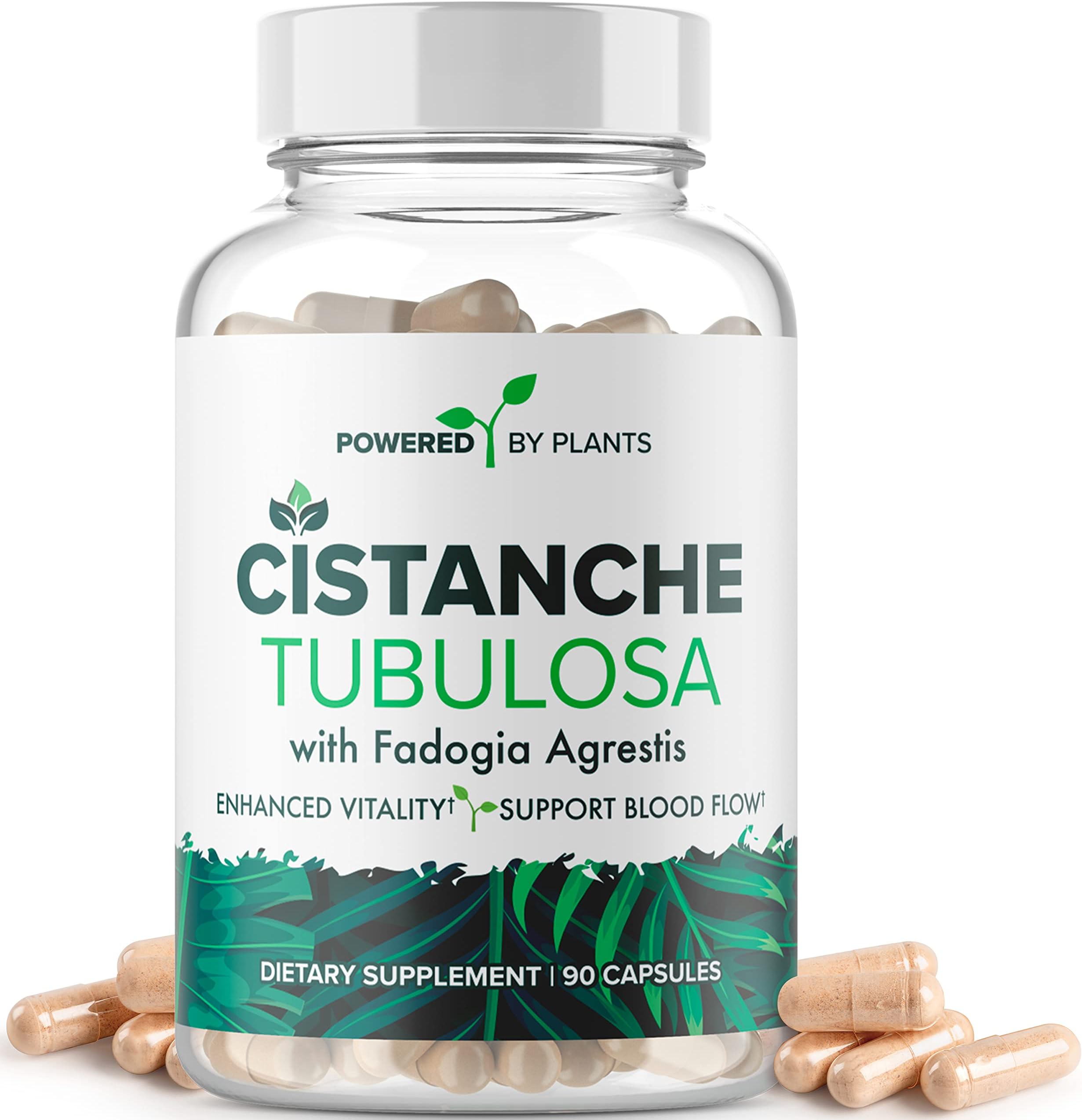Amazon.com: Cistanche Tubulosa 500mg - 50% Echinacoside & 10% Acteoside ...