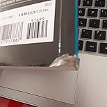 Amazon.com: The Advanced Roblox Coding Book: An Unofficial Guide ...