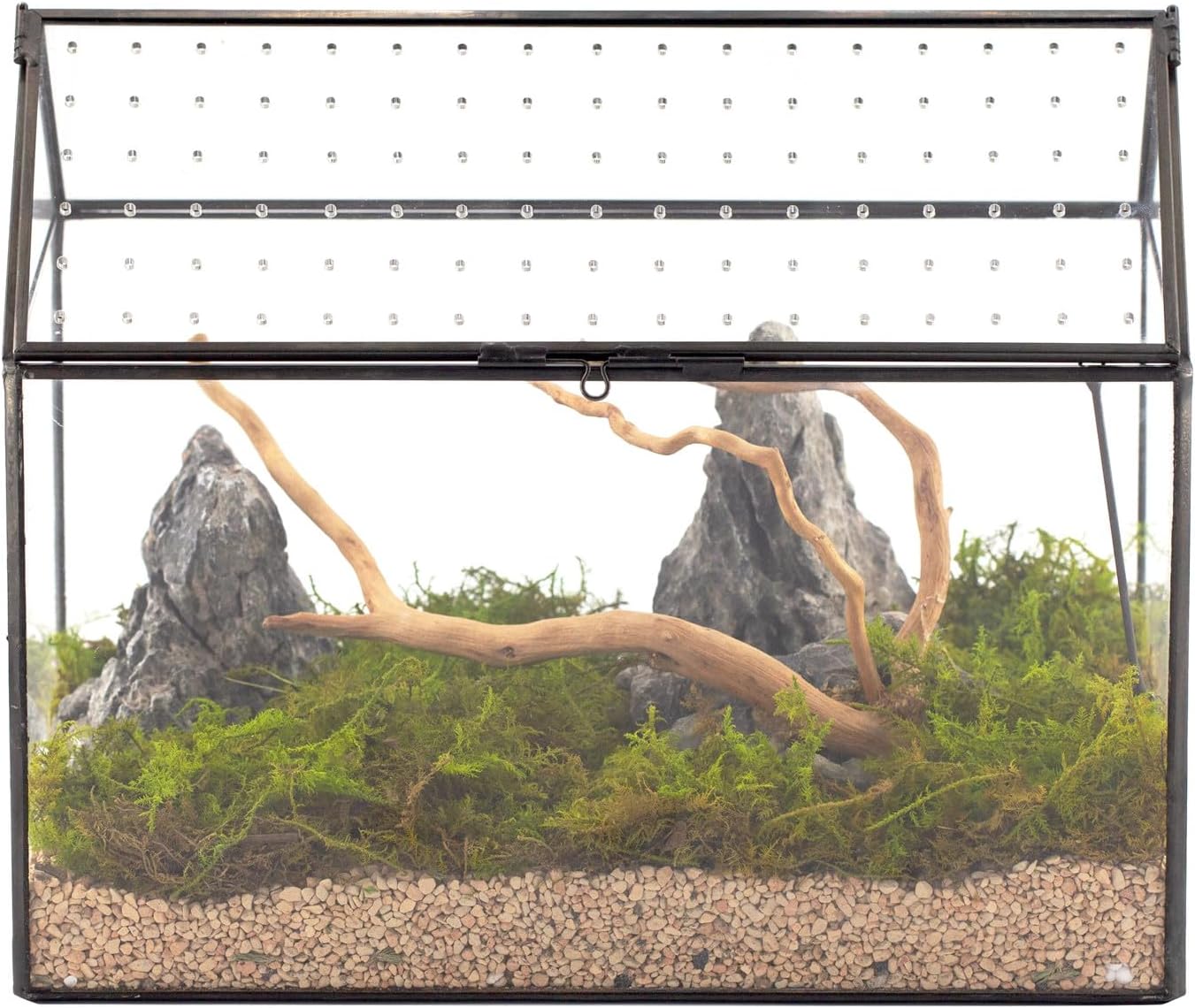 Amazon.com: Kalalou Set of Wood and Glass Terrariums, One Size, Brown ...