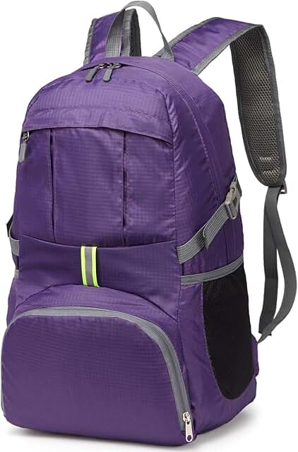 Amazon.com: collapsible backpack