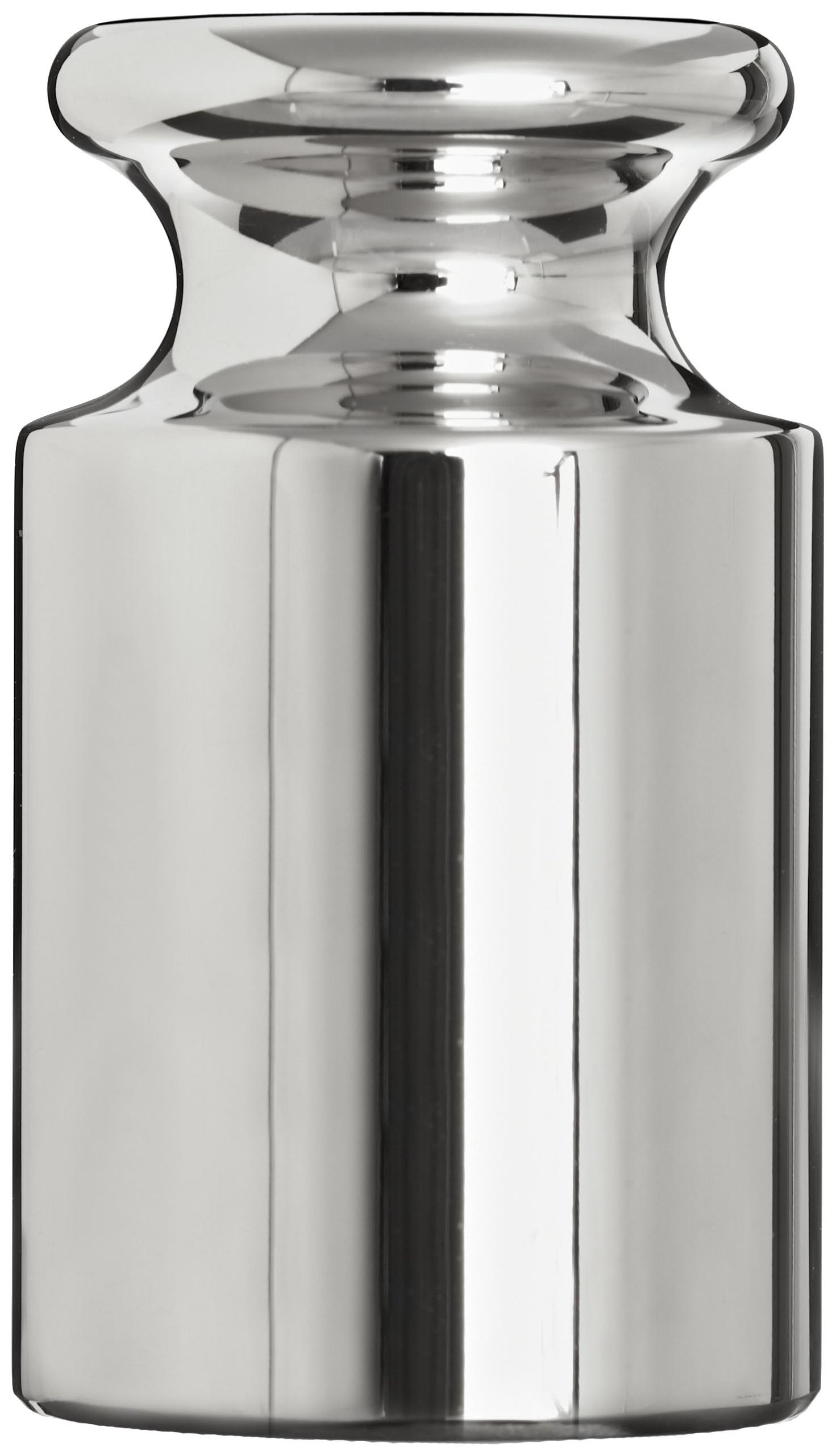 Adam Equipment Stainless Steel ASTM Class 0 Calibration Weight, 100g ...