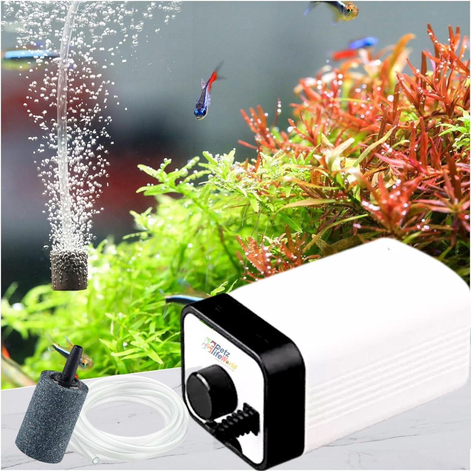 VAYINATO® CT-201 | 4W | 1.5L/Min Ultra-Quiet Air Pump - Adjustable Fish ...