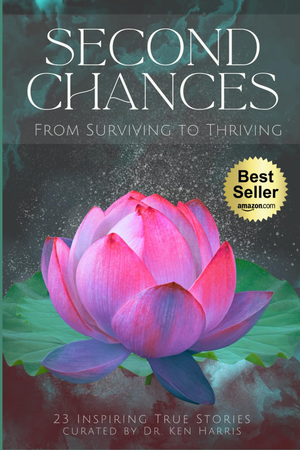 Second Chances: From Surviving to Thriving: Harris, Dr. Kenneth ...