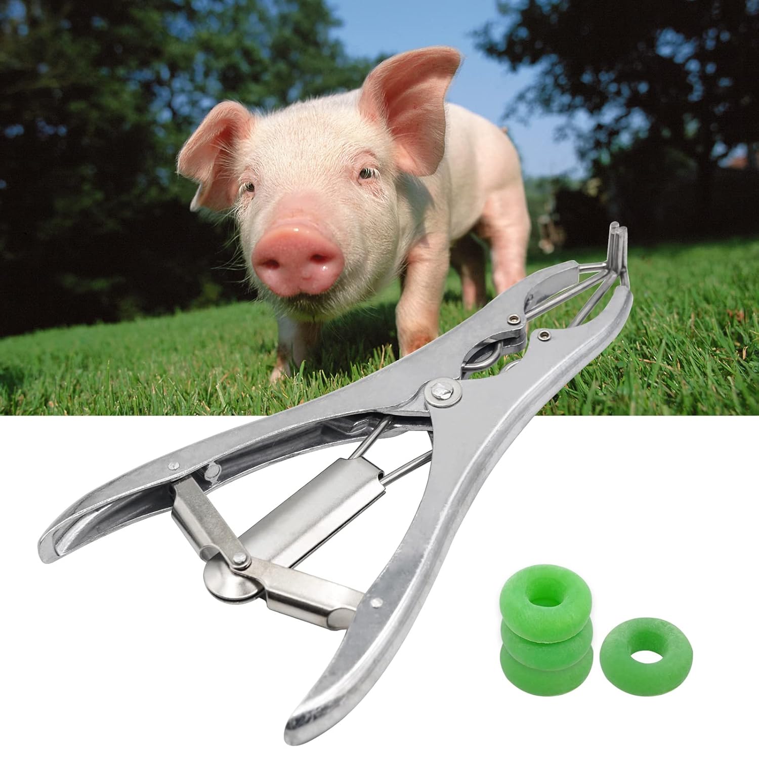 Animal Castration Pliers Stainless Steel Elastic Castration Banding ...