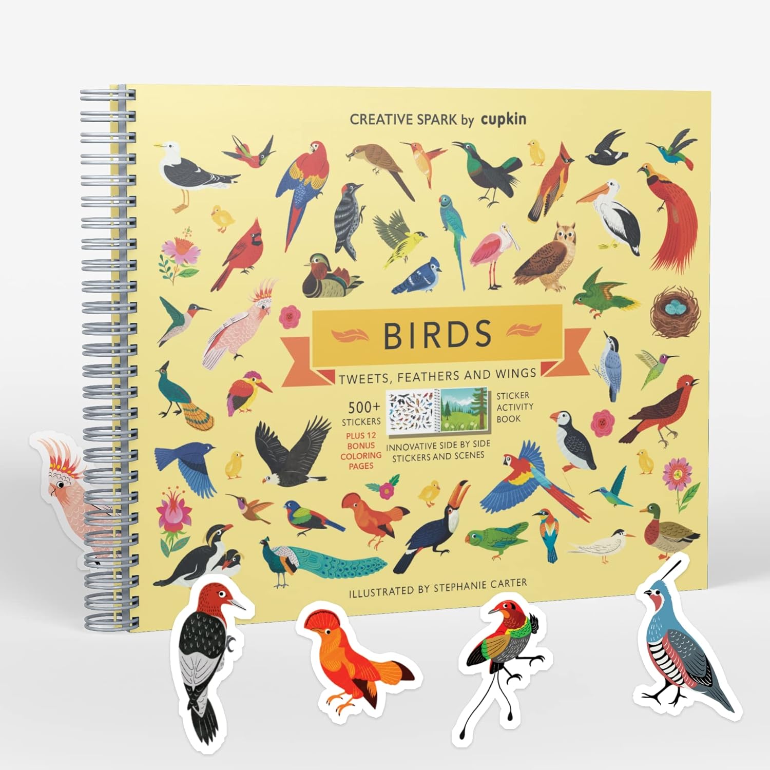 Amazon.com: Bird Stickers for Kids and Activity Book by Cupkin ...