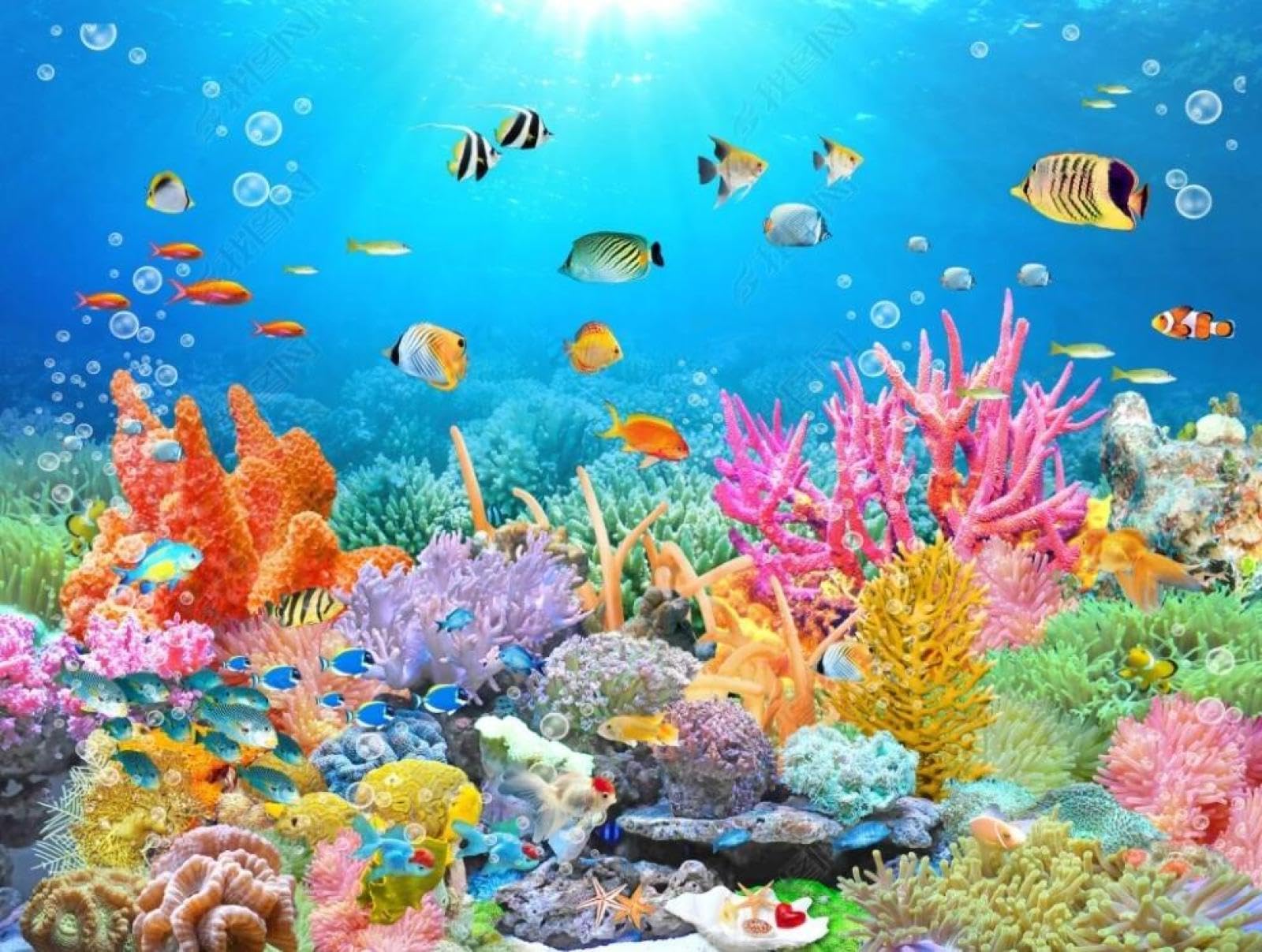 Coral Reef Screensavers Wallpaper Vibrant Ocean Life: 4K Live