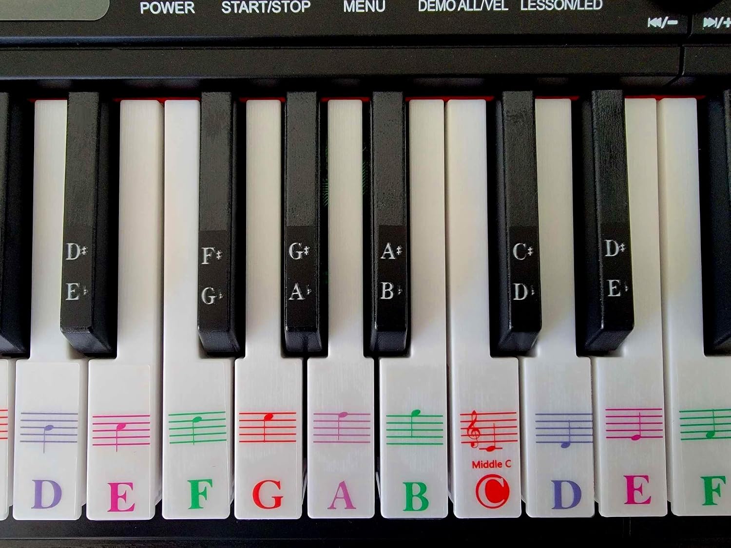 Amazon.com: 37/49/61/76/88 Keys Electronic or Full Size Piano Keyboard ...