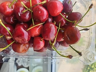 Fresh Indian Cherry, 250g : Amazon.in: Grocery & Gourmet Foods