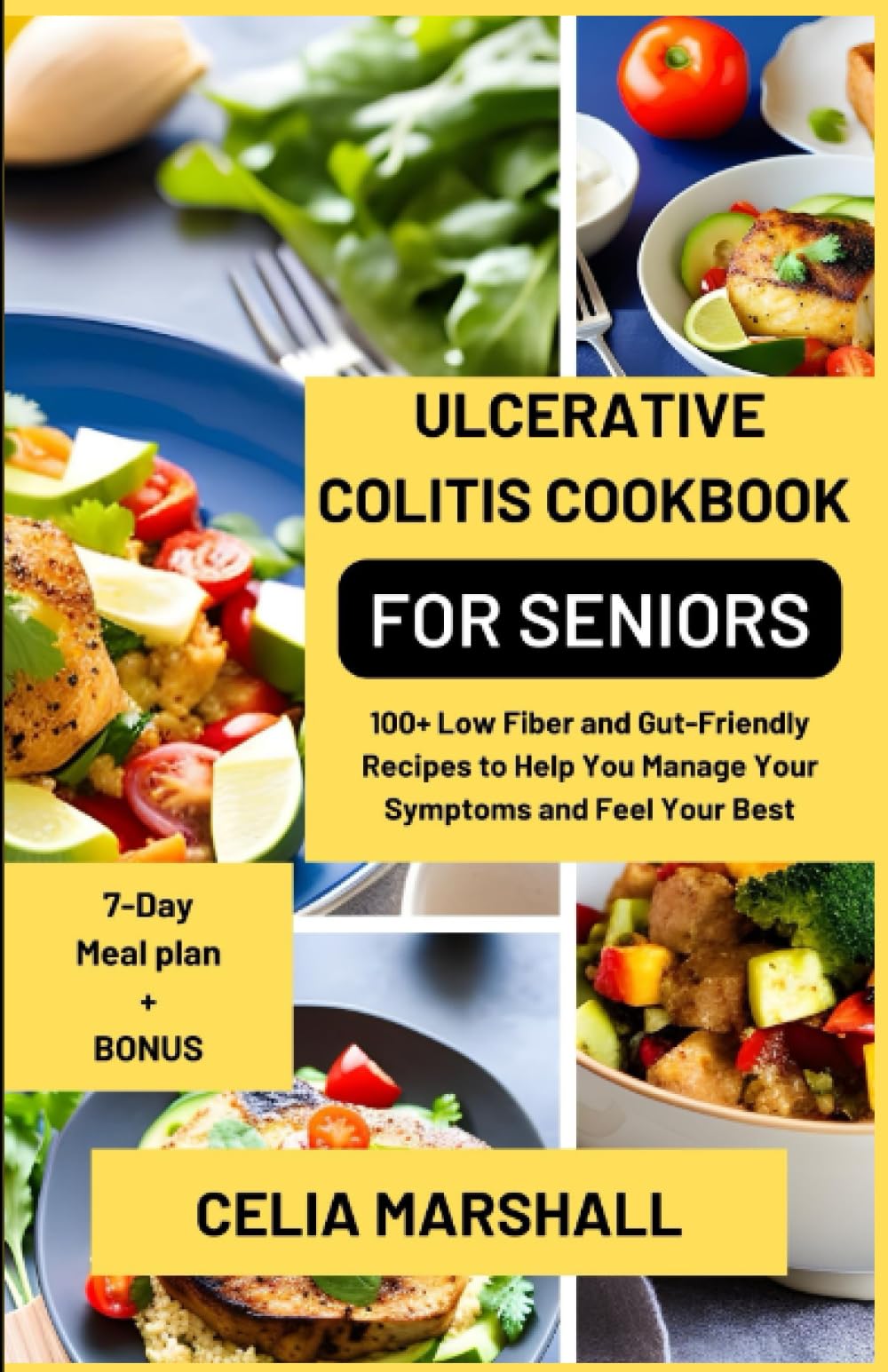 ULCERATIVE COLITIS COOKBOOK FOR SENIORS: 100+ Low Fiber and Gut ...