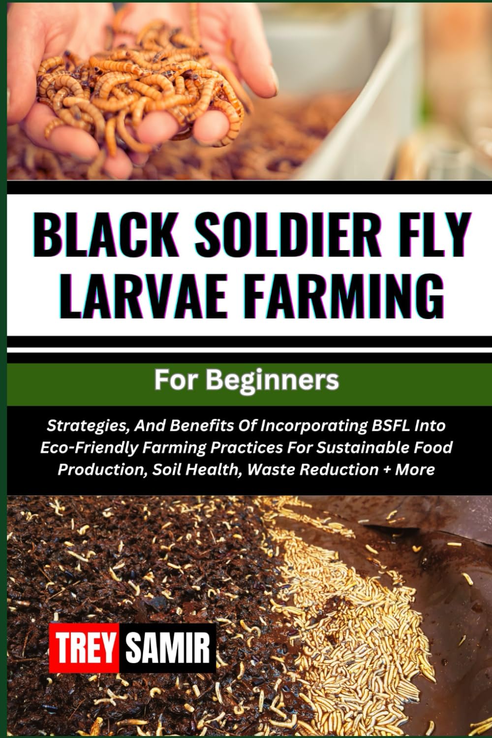 Black Soldier Fly Larvae Farming For Beginners Strategies And Benefits ...