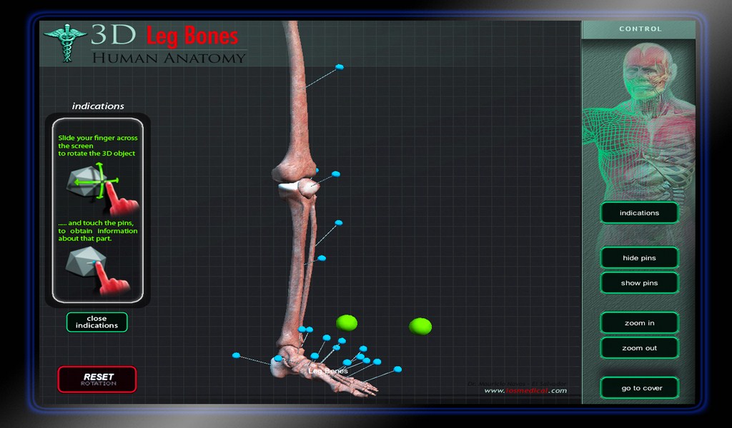 Anatomy arm and leg 3D - App on Amazon Appstore