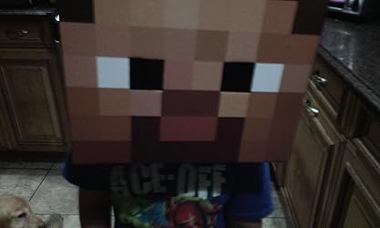 Amazon.com: Minecraft Steve Head : Toys & Games