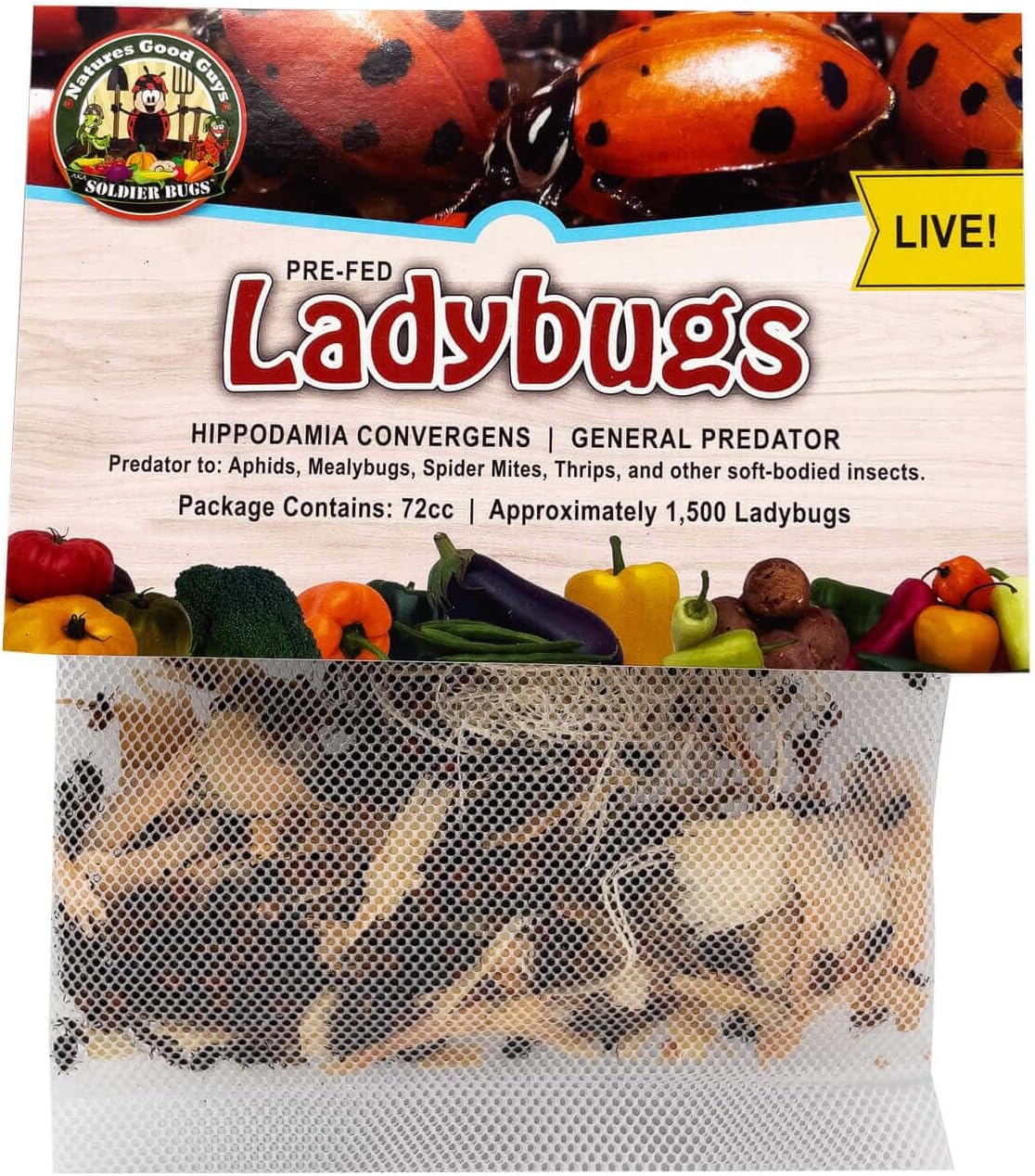 Amazon.com: 1500 Live Ladybugs - Guaranteed Live Delivery! + Good Bug ...
