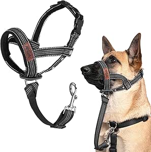 Amazon.com : ANDA Ultra-Light No-Pull Gentle Leader for Dogs Headcollar ...