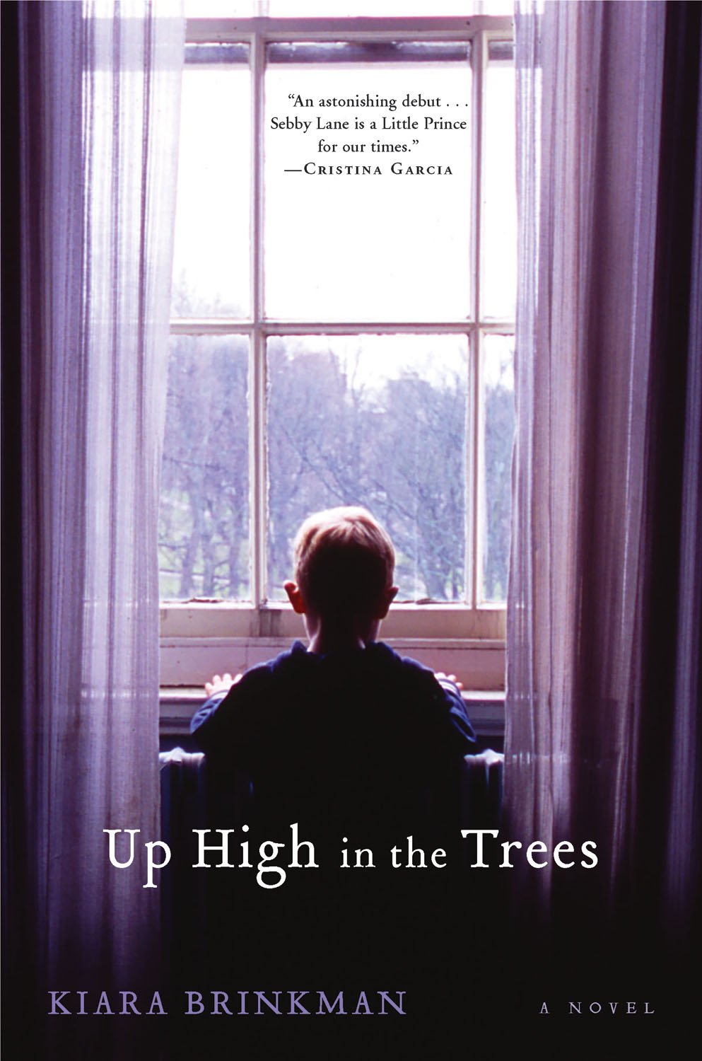 Up High in the Trees: A Novel: Brinkman, Kiara: 9780802143709: Amazon ...