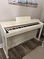 Amazon.com: Donner Digital Piano with 88 Key Dynamic Graded Hammer ...
