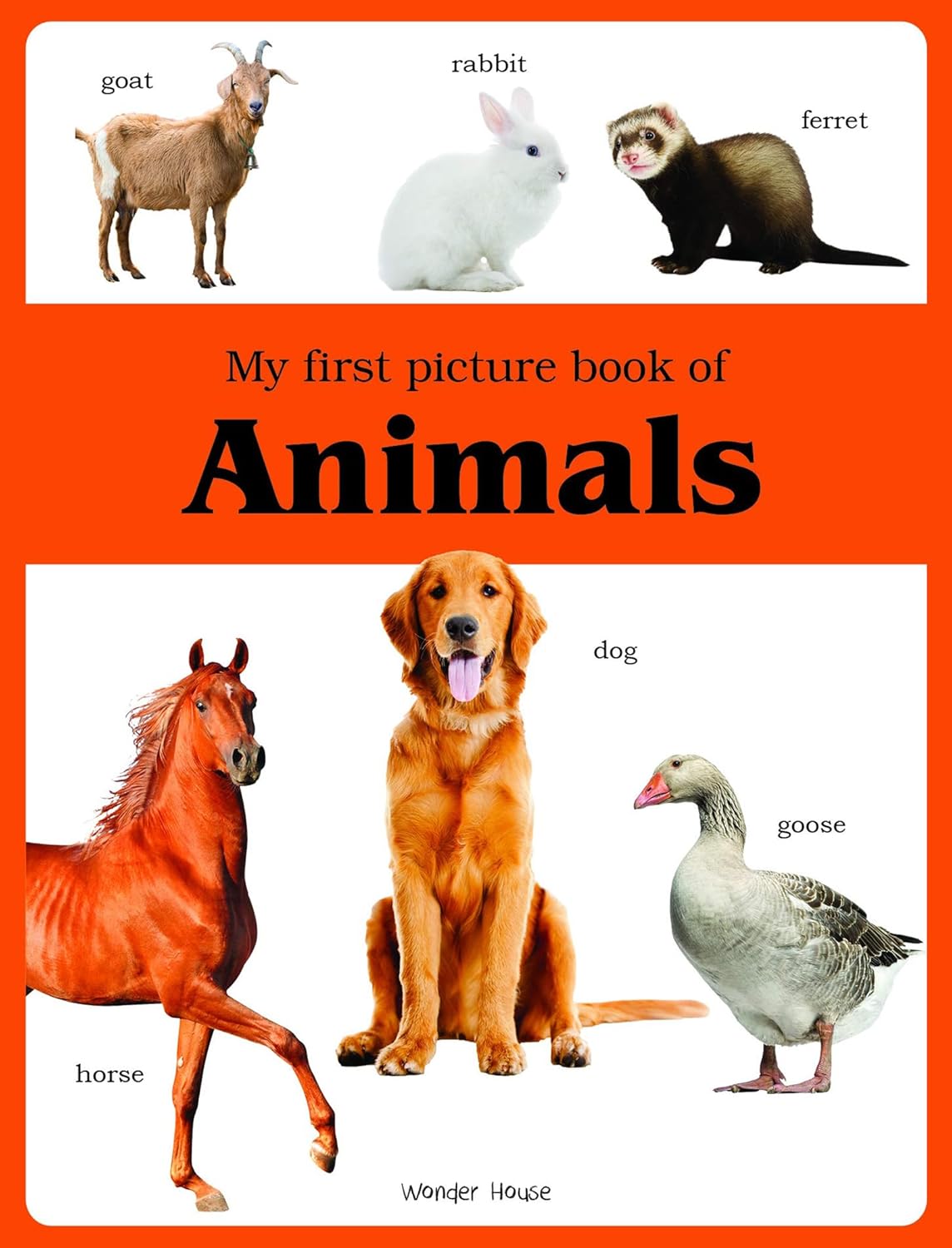 My First Picture Book of Animals eBook : Wonder House Books: Amazon.in ...