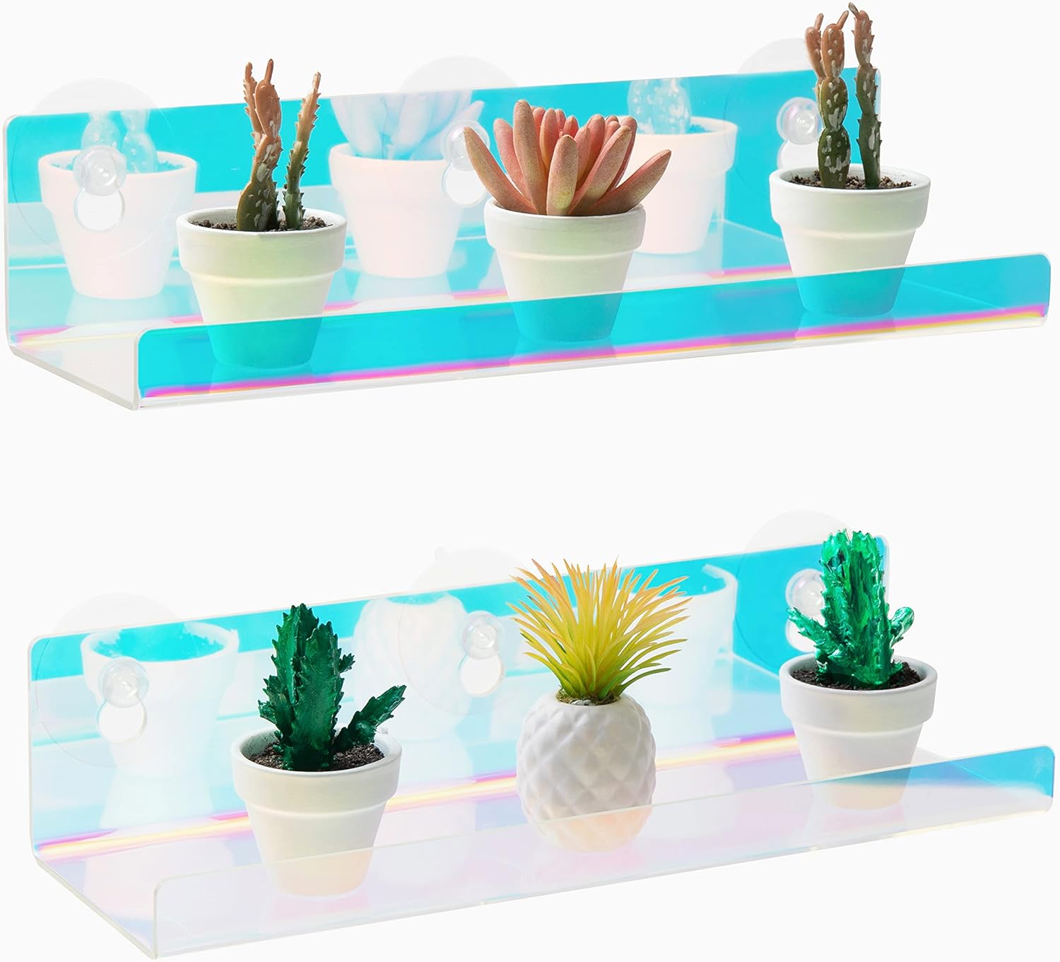 Amazon.com : Iridescent Window Shelf for Plants, 2 Acrylic Window ...