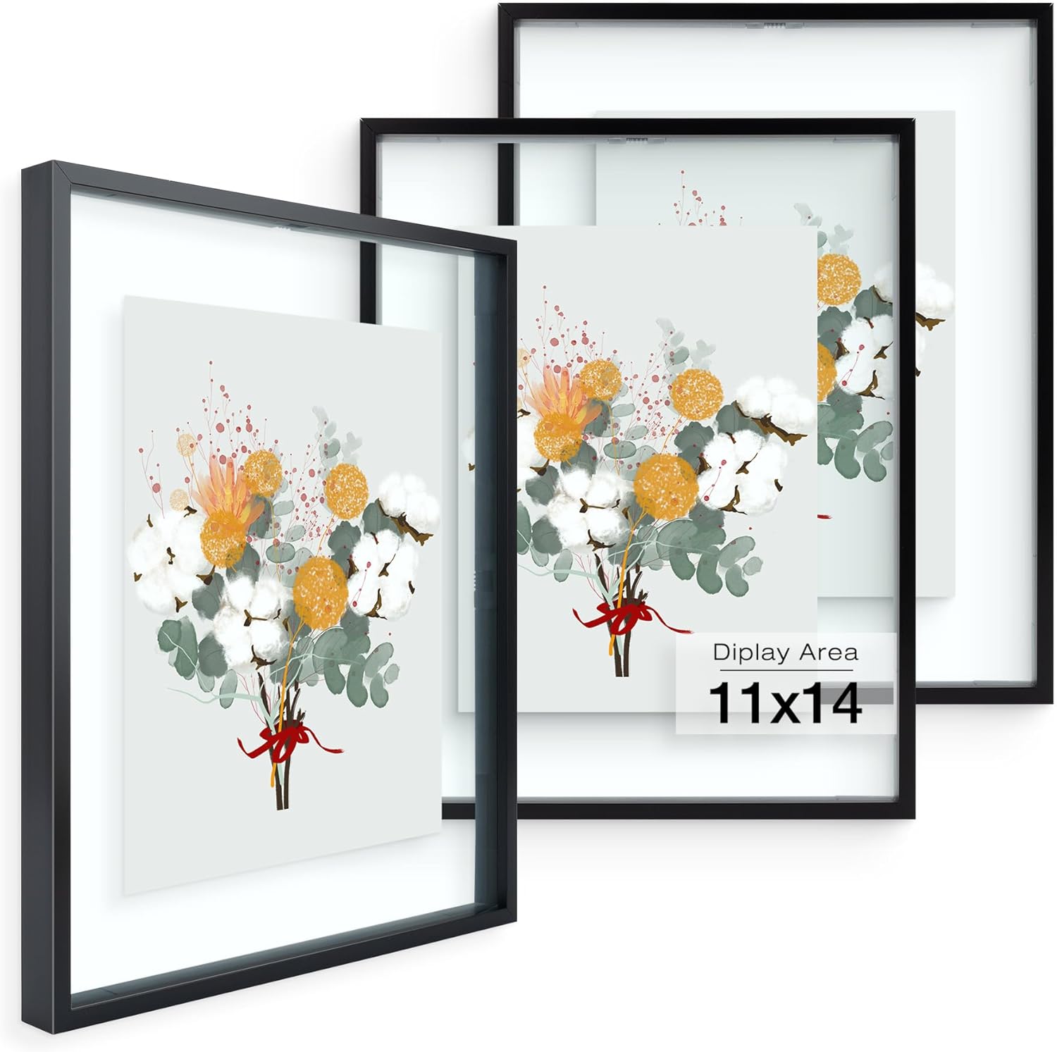 Amazon.com - Golden State Art, 11x14 Floating Picture Frame Set of 3 ...