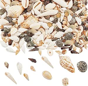 PH PandaHall 200g Ocean Beach Seashells 10 Style Mixed Sea Shells ...