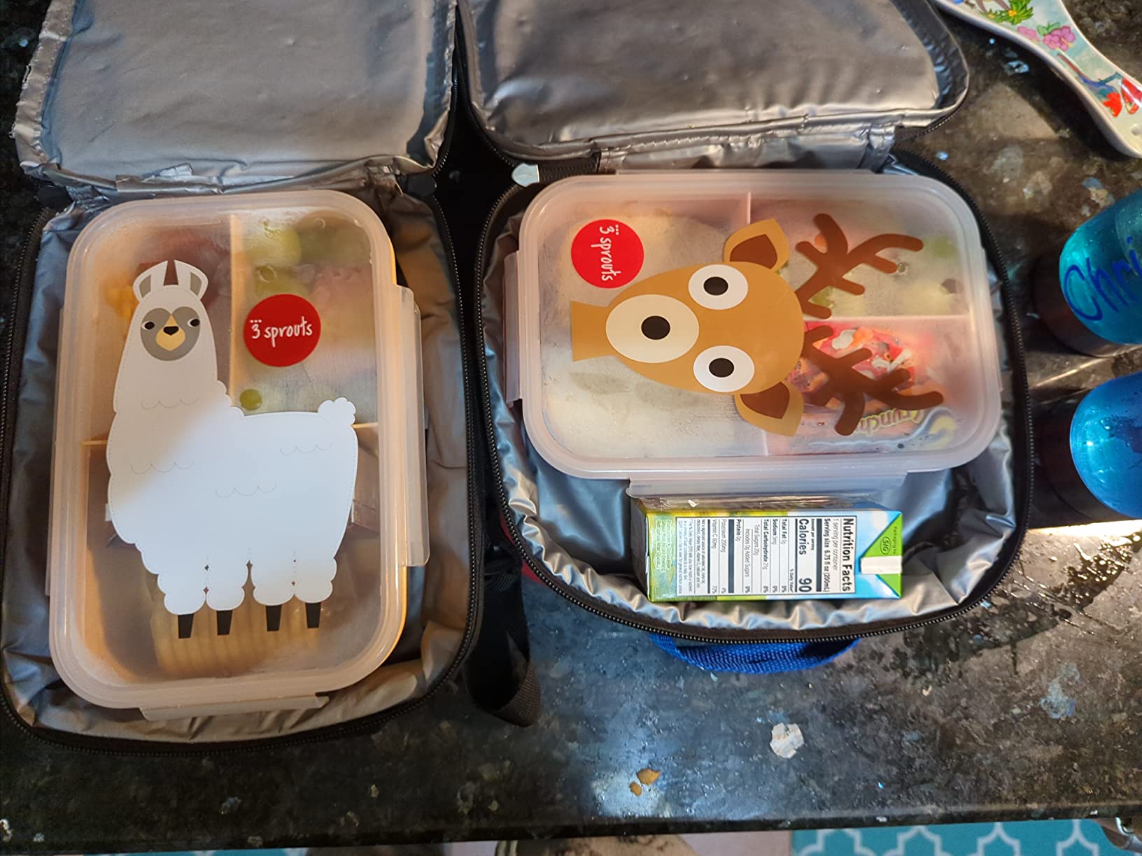 $4/mo - Finance 3 Sprouts Lunch Bento Box – 3 Compartment Lunchbox ...