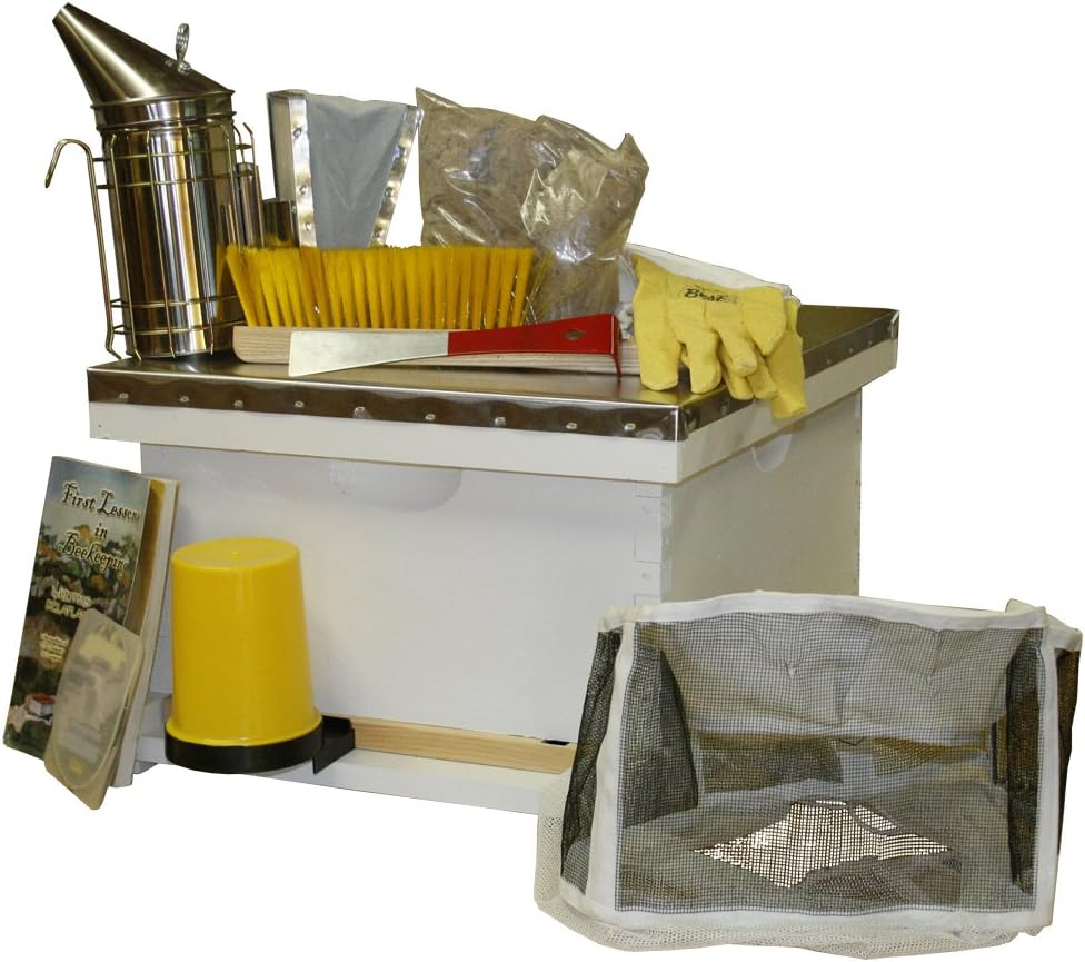 The 10 Best Bee Hive Kits to Save Your Time and Money - SWF Bees