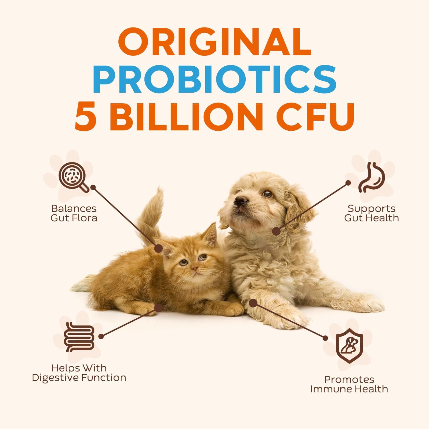 Probióticos para perros y gatos, 5 mil millones de UFC, formulados por ...
