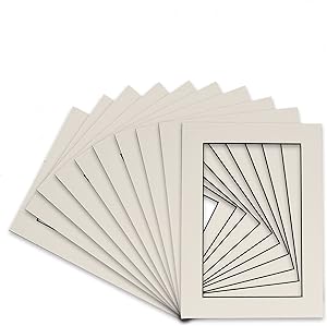 Amazon.com: Pack of TEN 12x18 Mats Bevel Cut for 11x15 Photos - Acid ...