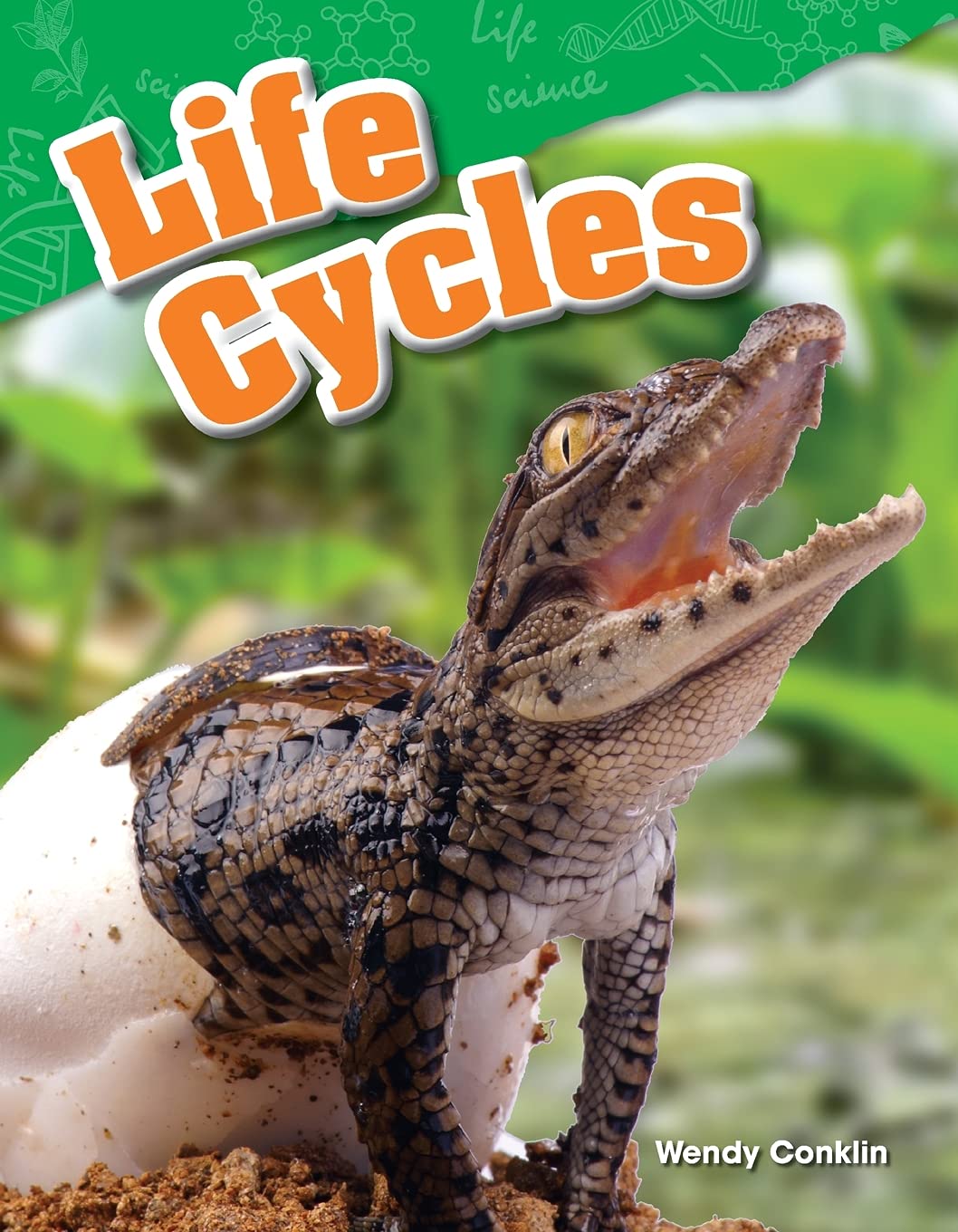 Amazon.com: Life Cycles (Science Readers: Content and Literacy ...