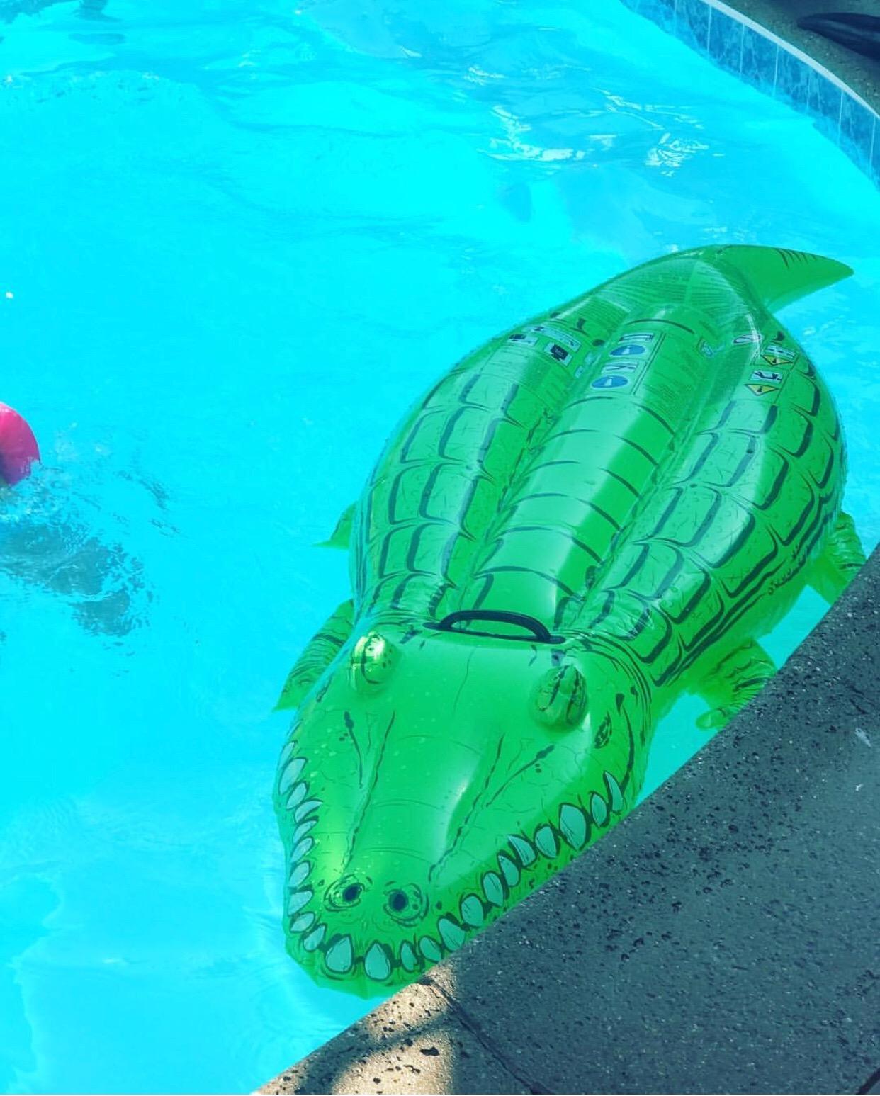 Amazon.com: H2OGO! Crocodile Rider Inflatable Pool Float : Toys & Games