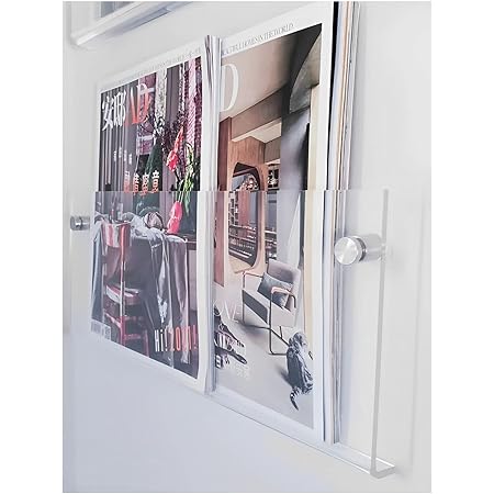 Amazon.com: lesolar Magazine Holder Clear Acrylic Brochure Holder Wall ...
