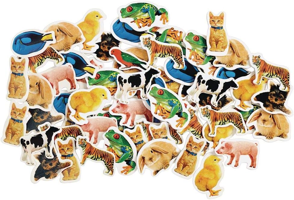 Colorations Real Photo Animal Foam Stickers 250 Pieces : Amazon.ca ...