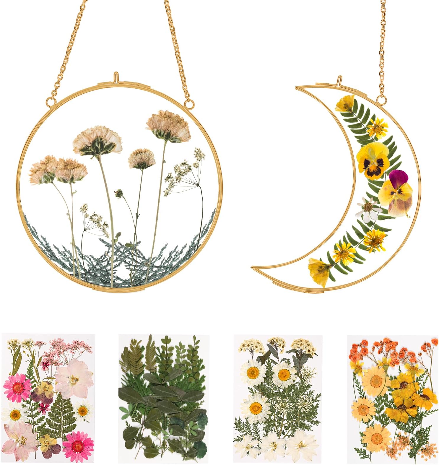 Amazon.com - Relaxing Garden Double Glass Frame for Pressed Flowers - w ...