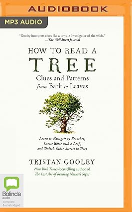 How to Read a Tree: Clues and Patterns from Bark to Leaves: Amazon.co ...