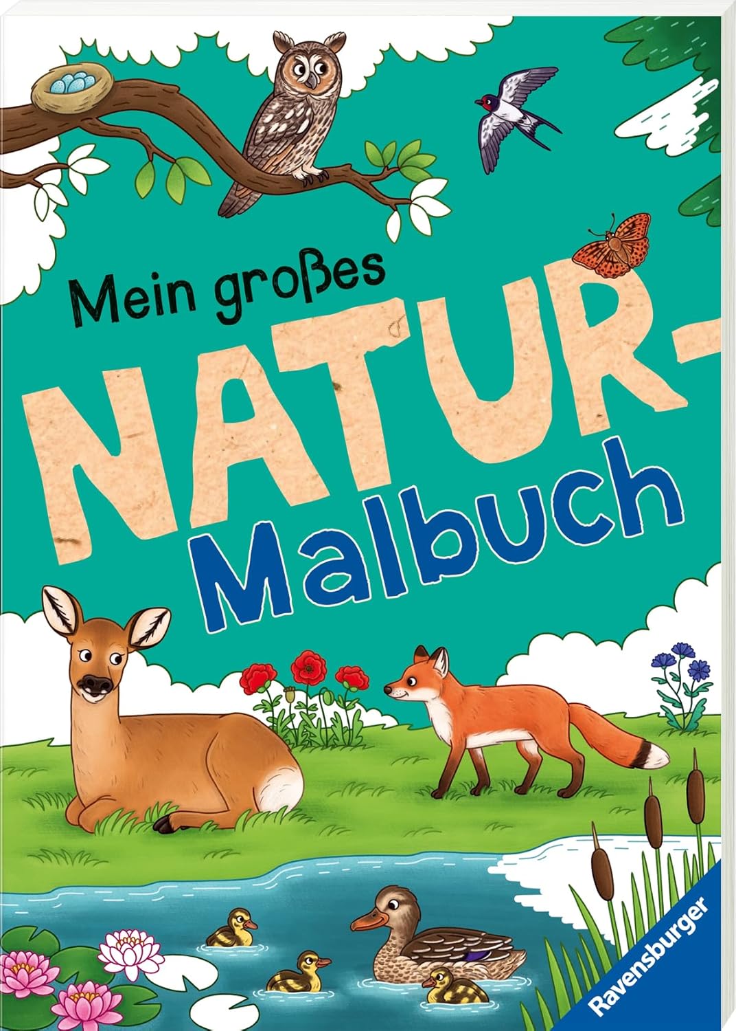 Amazon.com: Ravensburger Mein großes Natur-Malbuch - heimische ...