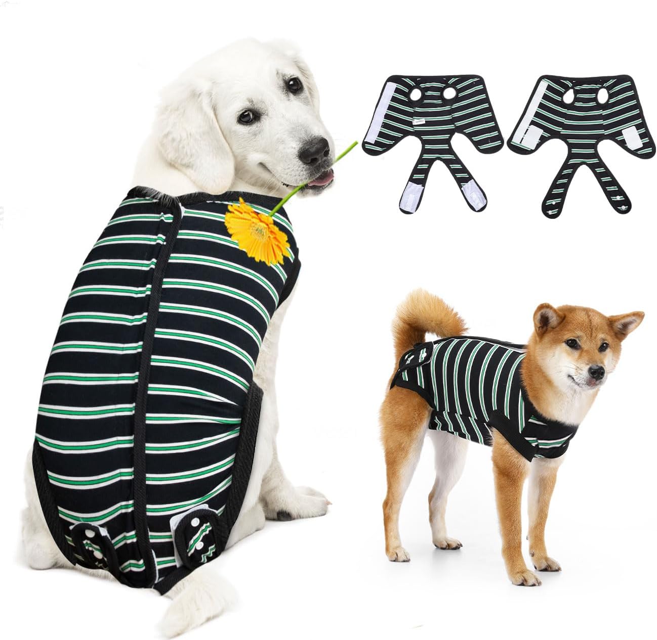 Amazon.com : VavoPaw Dog Surgery Recovery Suit, Dog Surgery Suit Dog ...