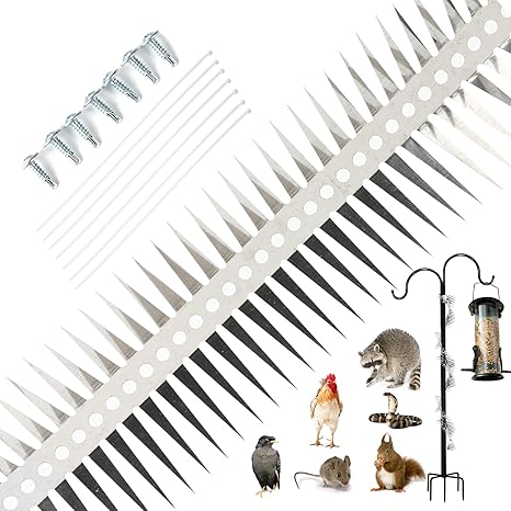Gennbaray Bird Spikes for Outside.Squirrel Spikes.Stainless Steel ...