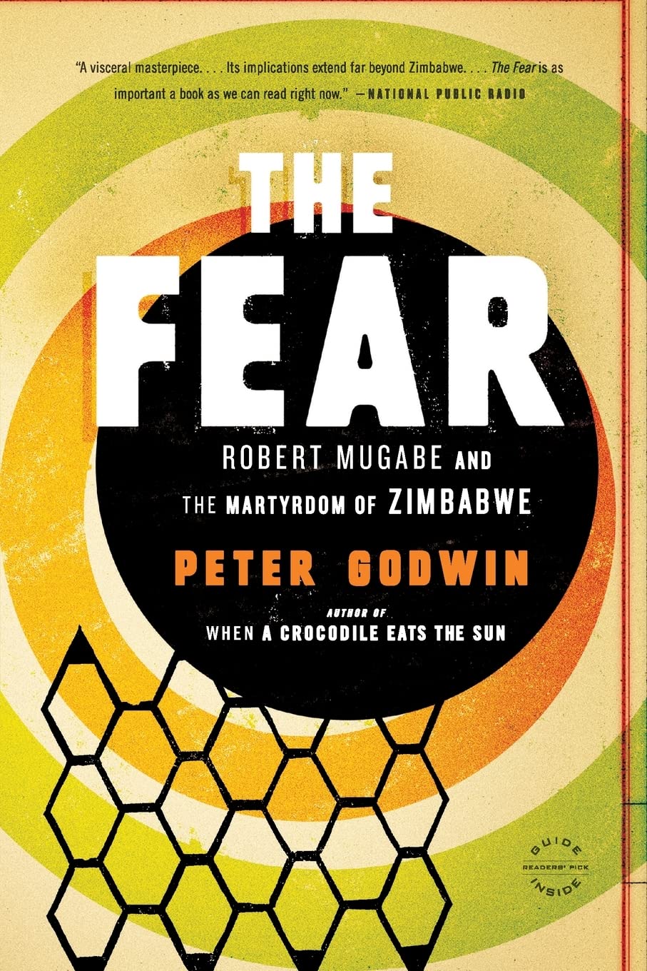 The Fear: Godwin, Peter: 9780316051873: Amazon.com: Books